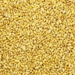 Pijnboompitten kopen | De Notenshop