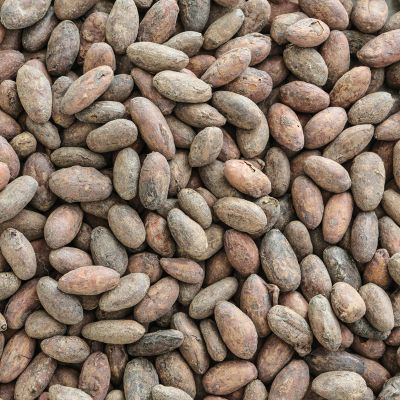 Cacaobonen kopen – Biologische & rauwe bonen | De Notenshop